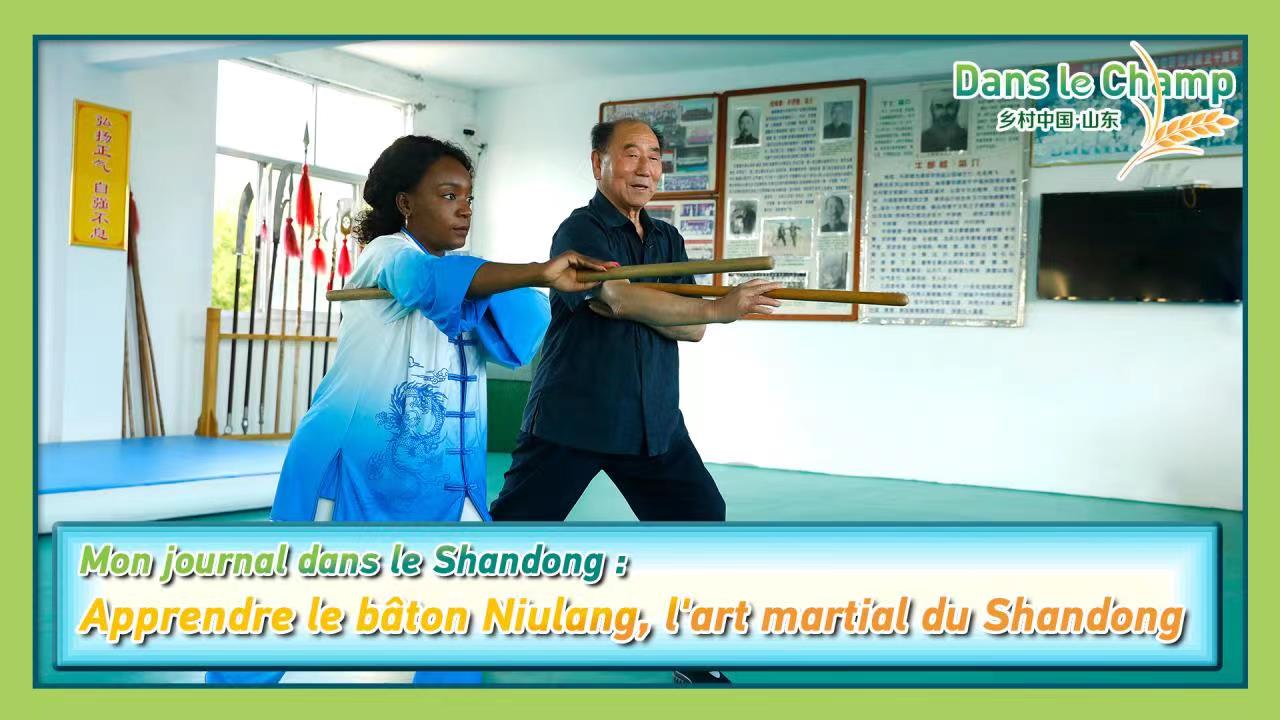 Mon journal dans le Shandong : apprendre le bâton Niulang, l'art martial du Shandong - CGTN