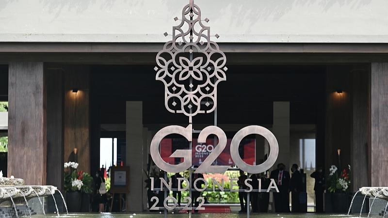 Le sommet du G20 s'ouvre à Bali avec pour thème "Se redresser ensemble ...