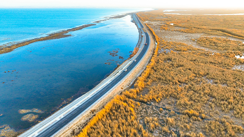 Bayingolin, au Xinjiang : roseaux dorés dans la zone humide du lac ...