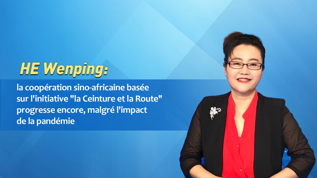 HE Wenping : la coopération sino-africaine basée sur l'initiative "la Ceinture et la Route ...