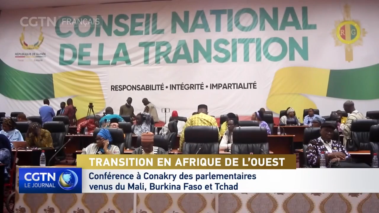Conférence à Conakry des parlementaires venus du Mali, Burkina Faso et ...