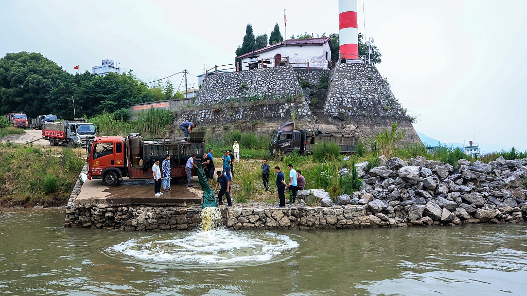 Des centaines de milliers de poissons indigènes ont été relâchés dans ...