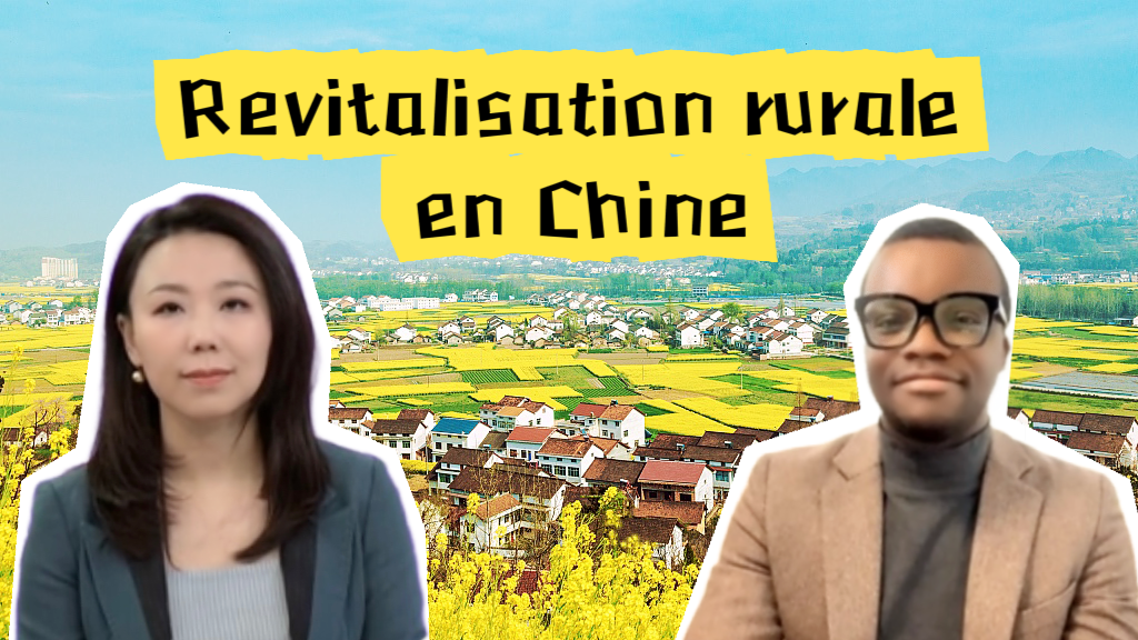Revitalisation rurale en Chine - CGTN