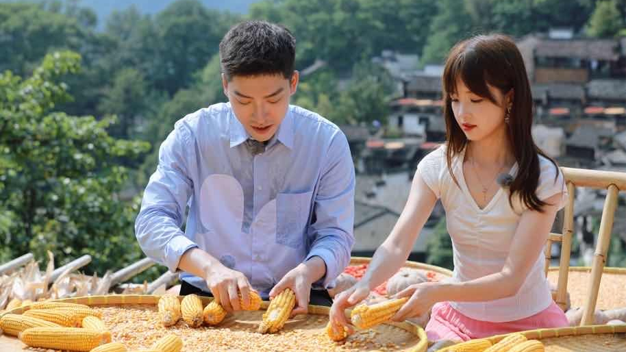 Comment « exposer des moissons » ? Ressentez le « plus beau symbole ...