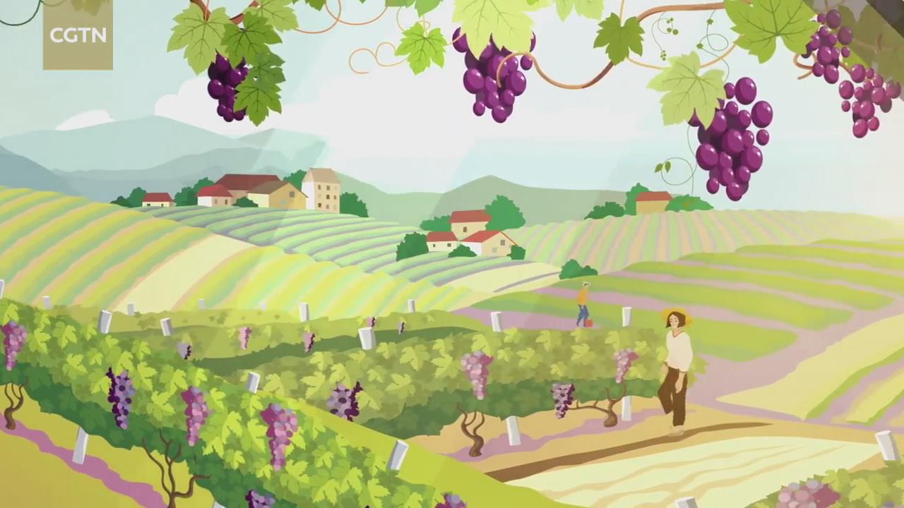 Un merveilleux voyage avec "Super Marco" : La saveur exquise du vin ...