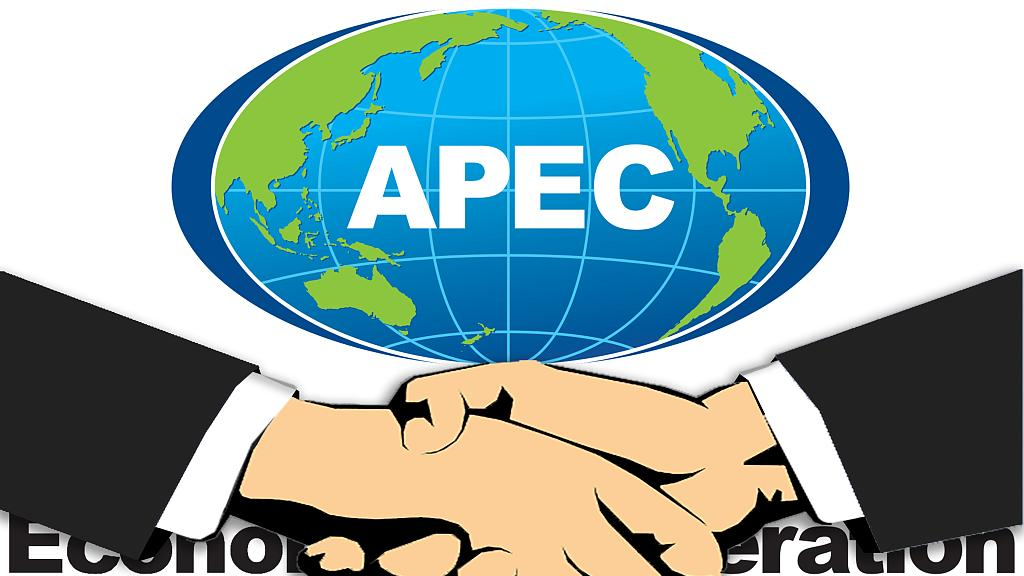 Le président Xi avance une proposition en quatre points aux membres de l'APEC - CGTN