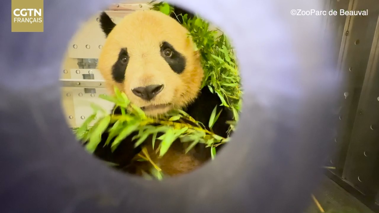 YUAN MENG - Retour à la maison - CGTN