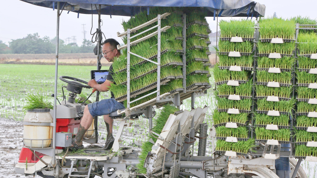 Jiangsu : les machines agricoles modernes facilitent le repiquage des ...
