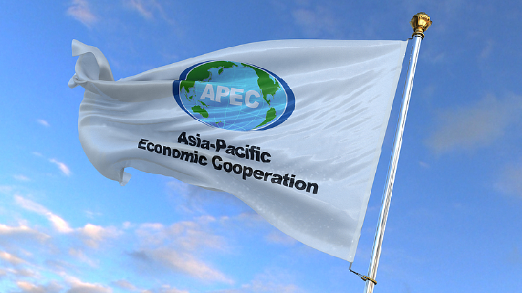 La Chine accueillera la réunion des dirigeants économiques de l'APEC en 2026 - CGTN