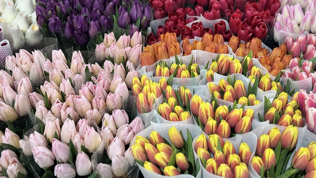 Les fleurs du Yunnan, de plus en plus prisées à l'international - CGTN