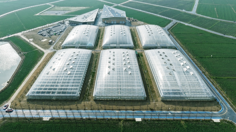 La ferme futuriste de Hangzhou ressemble à une "capsule spatiale" - CGTN